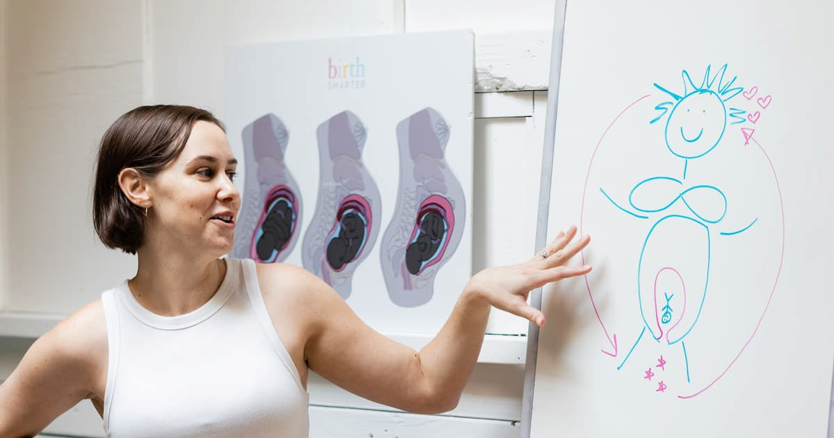 Birthsmarter — How Does A Baby Actually Get Out?